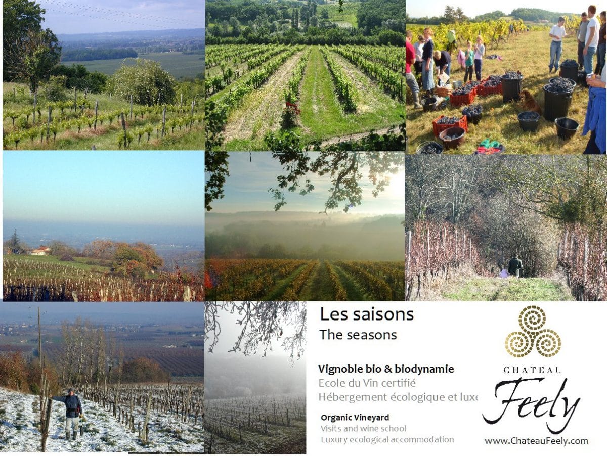 Chateau Feely Brochures - Château Feely organic wine, tours, accommodation