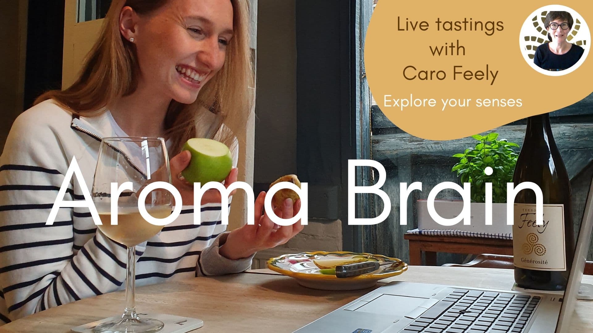 Virtual Live Wine tasting Events Chateau Feely French Wine Adventures