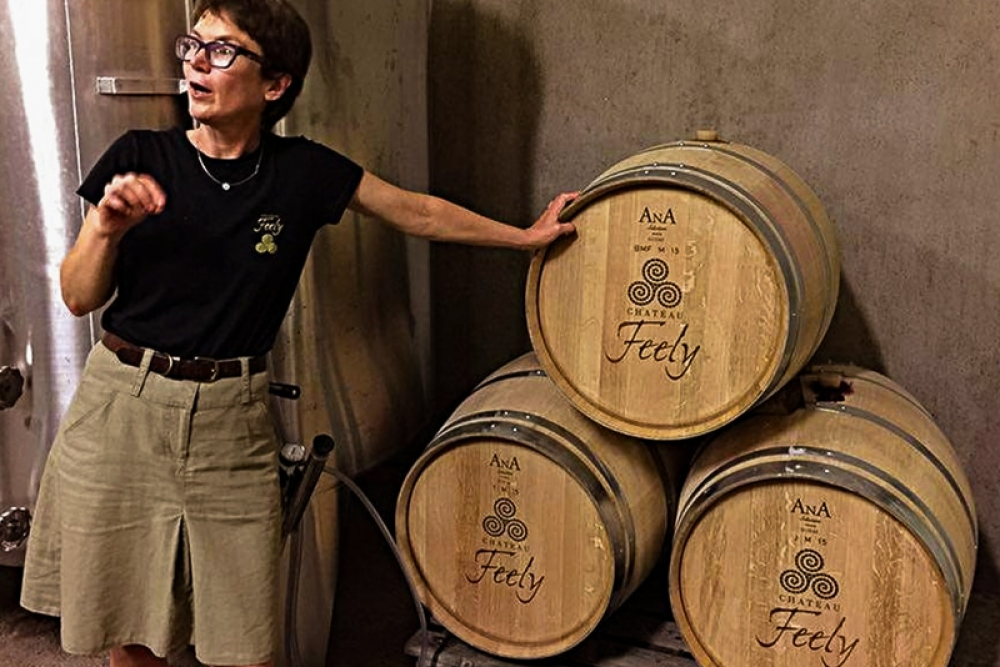 Winemaking 101 winemaking class on organic vineyard